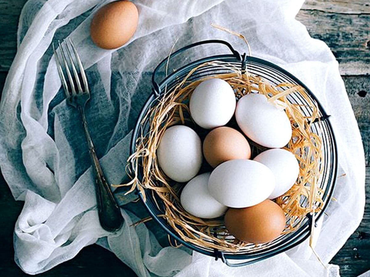 Le jardin de Gaïa - Labess